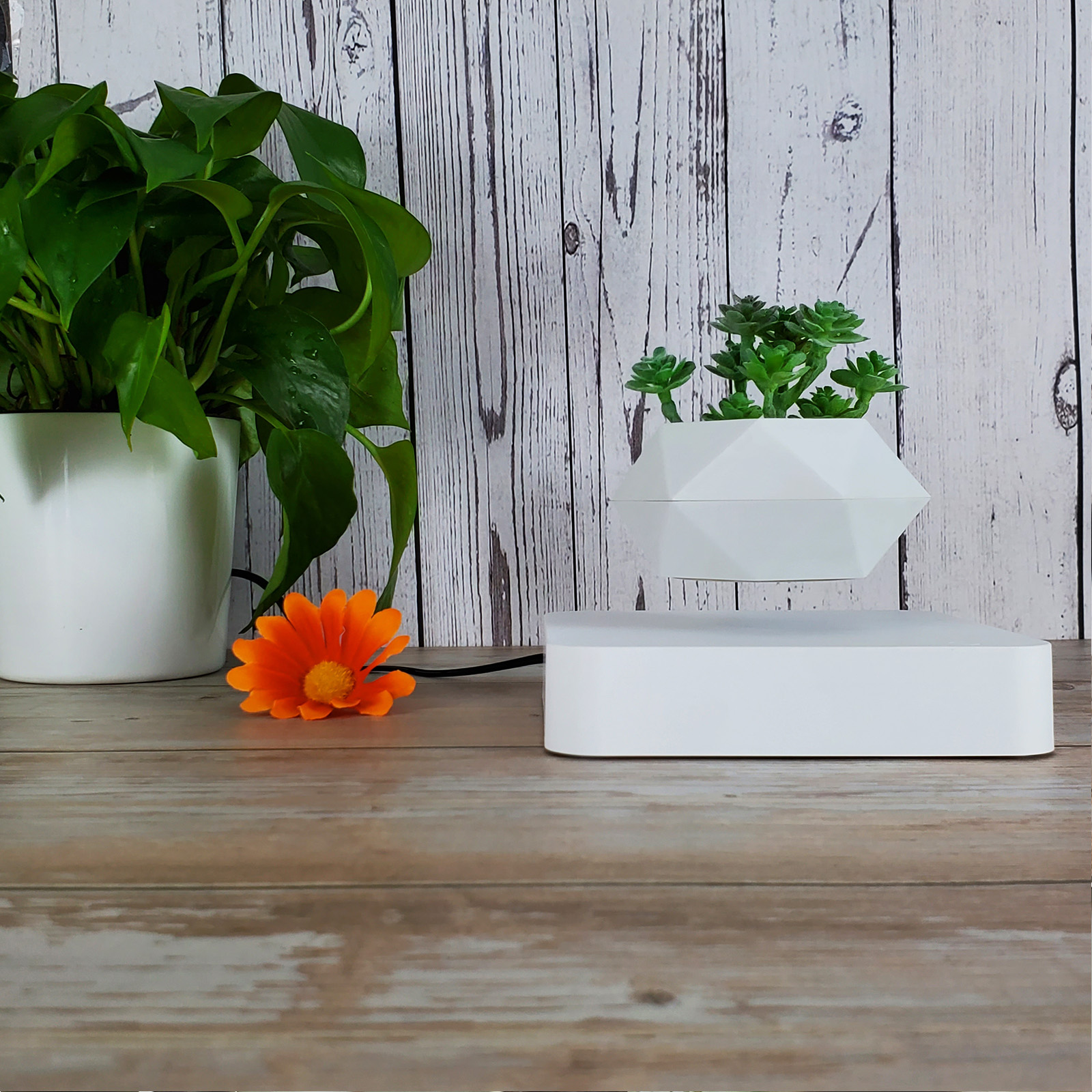 HCNT Magnetic Levitating Pot Latest Floating Plant Pot – HCNT Levitation